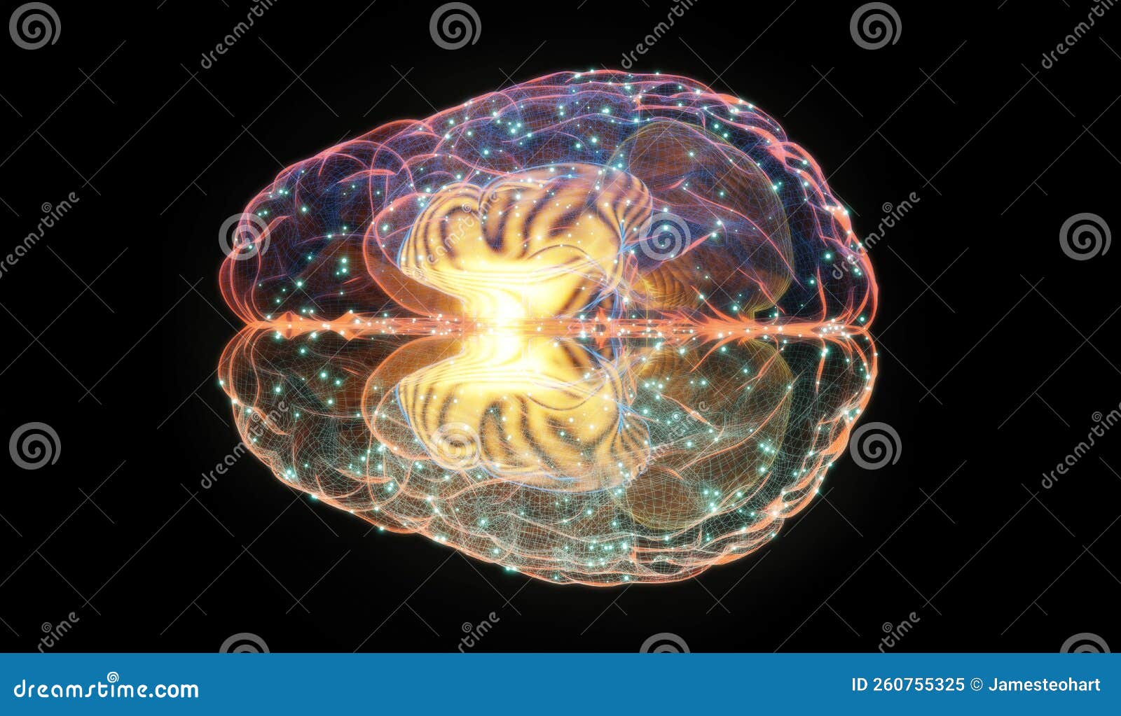 3d Illustration of Wireframe Digital Human Brain Stock Illustration ...