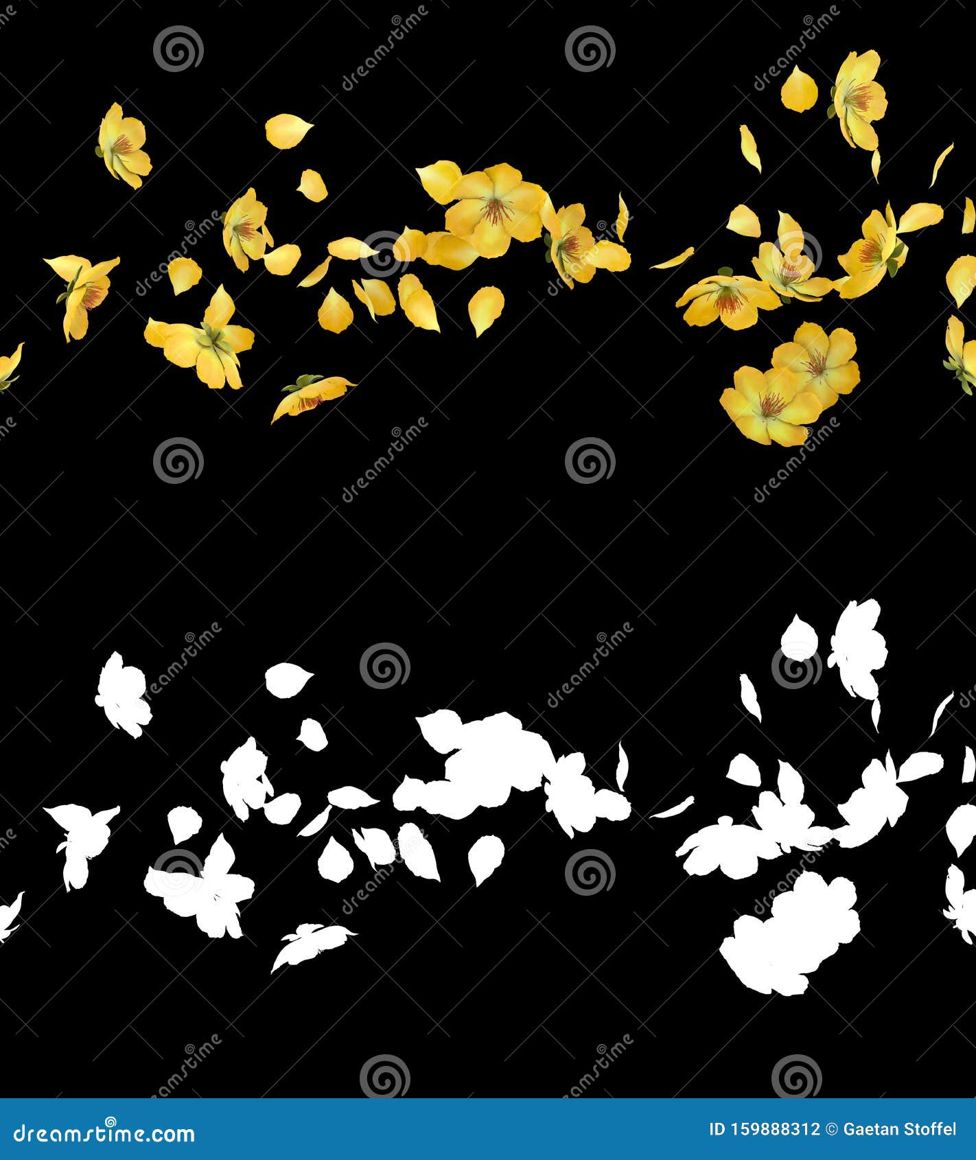 3D Illustration of a Yellow Flower Petals Flow with Alpha Layer Stock ...