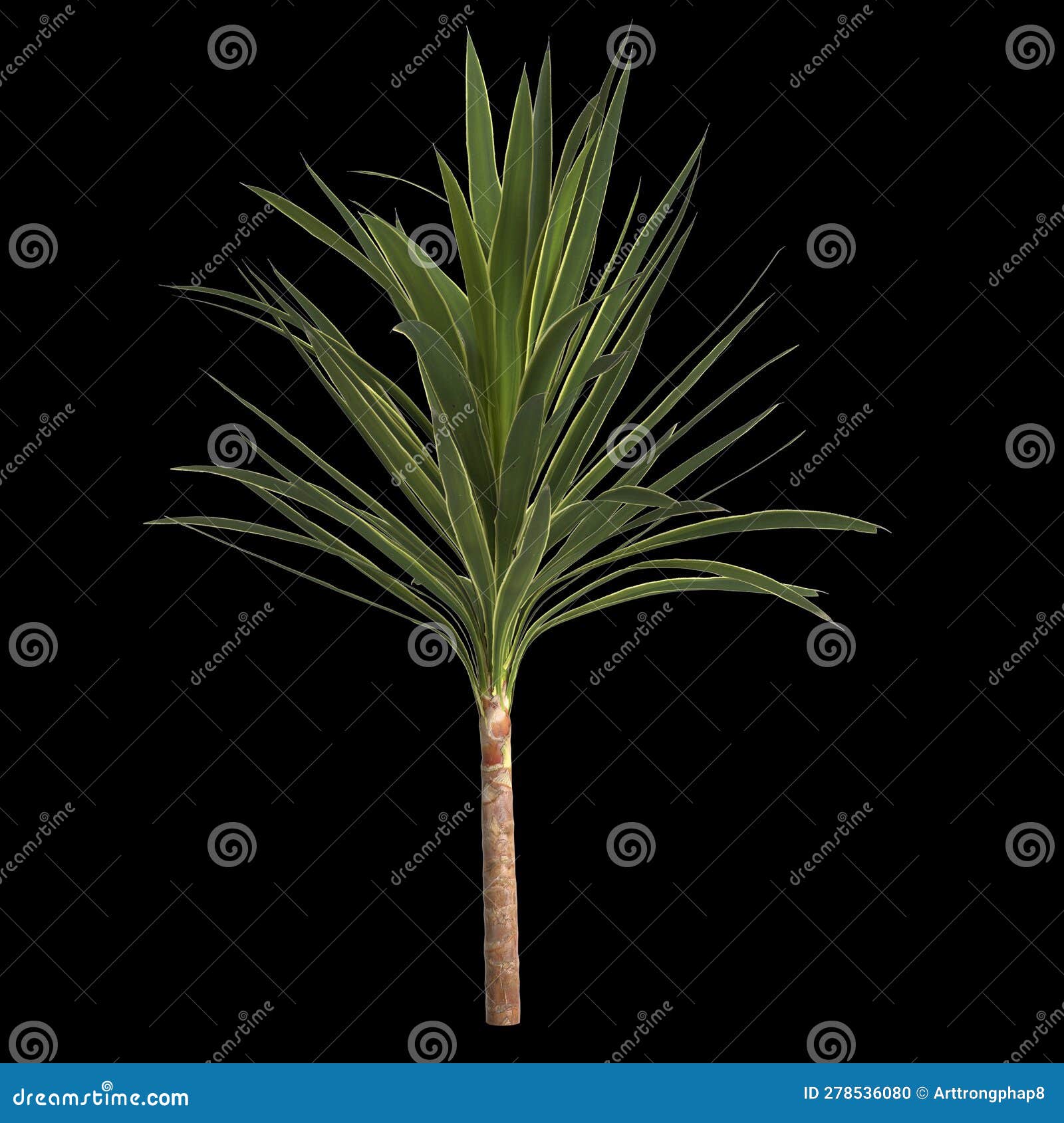 Yucca Plant In A Dessert Vector Illustration | CartoonDealer.com #88848450