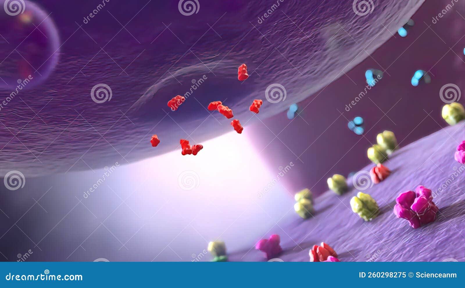 3D Illustrationof Neuron Structure and Function. Signal in Neurons ...