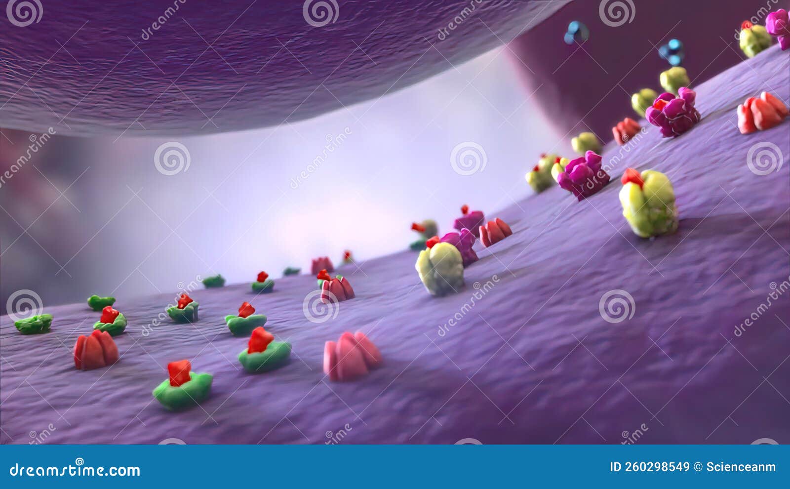 3D Illustrationof Neuron Structure and Function. Signal in Neurons ...