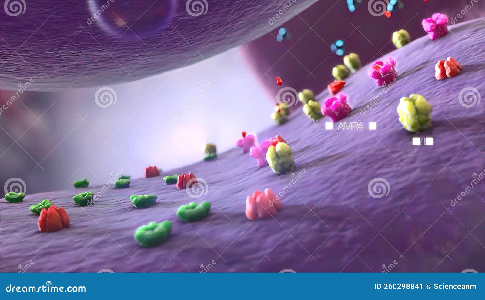 3D Illustrationof Neuron Structure and Function. Signal in Neurons ...