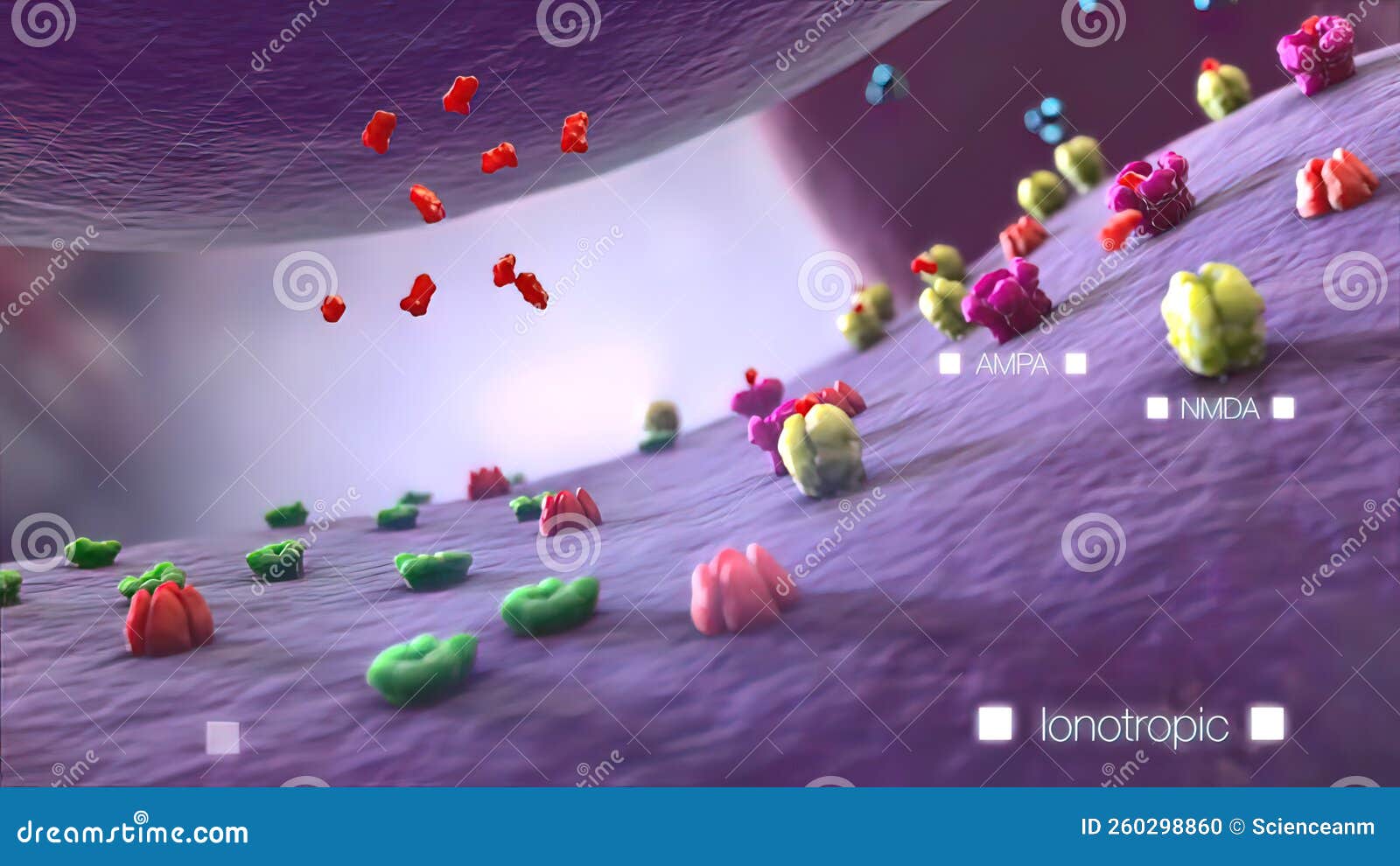 3D Illustrationof Neuron Structure and Function. Signal in Neurons ...