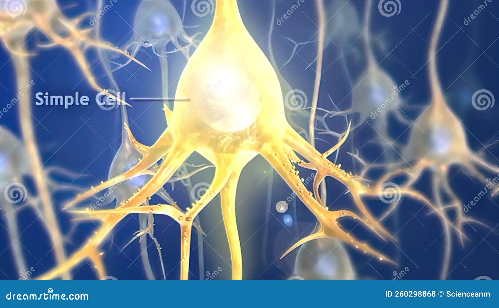 3D Illustrationof Neuron Structure and Function. Signal in Neurons ...