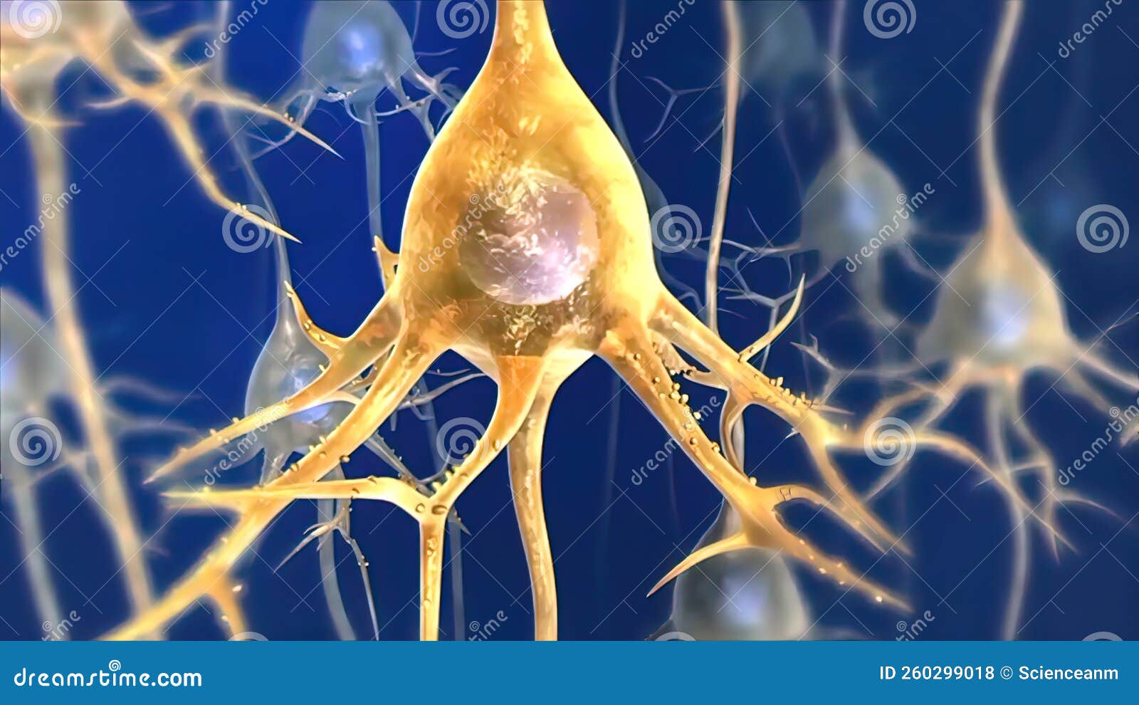 3D Illustrationof Neuron Structure and Function. Signal in Neurons ...