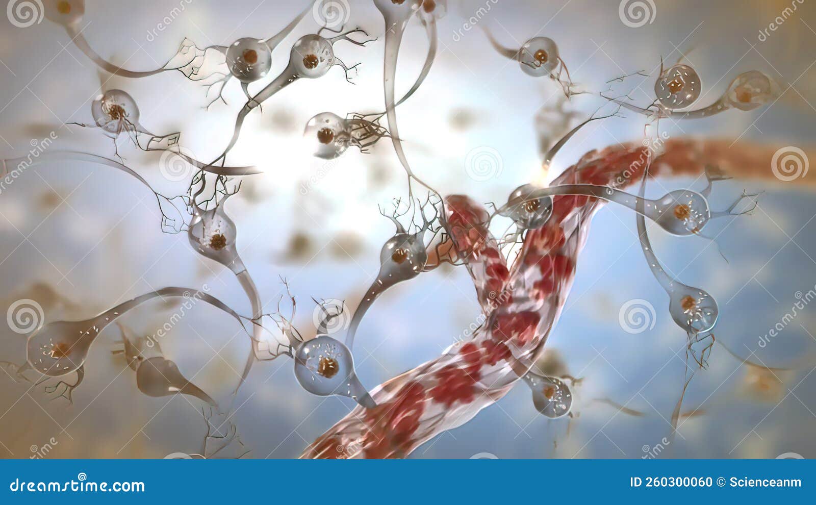 3D Illustrationof Neuron Structure and Function. Signal in Neurons ...