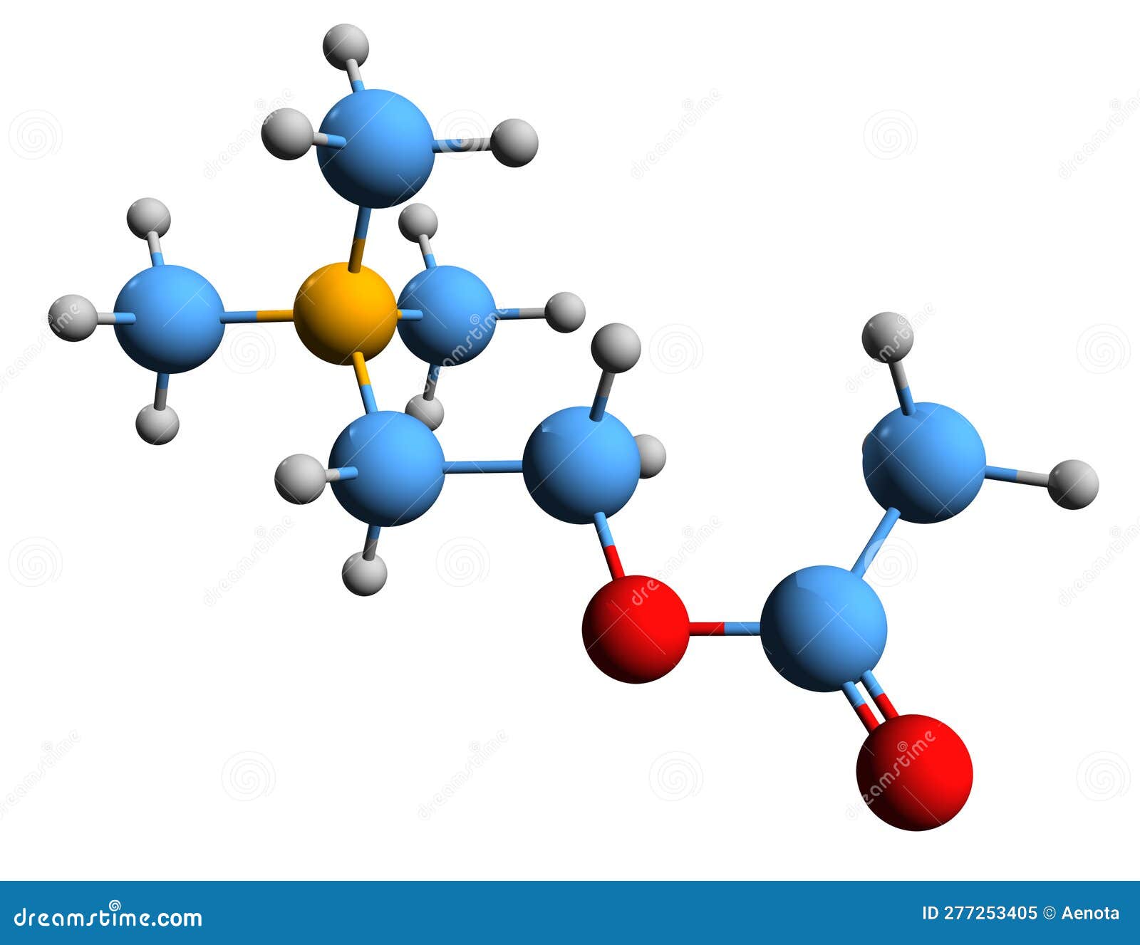 3D Image of Acetylcholine Skeletal Formula Stock Illustration ...