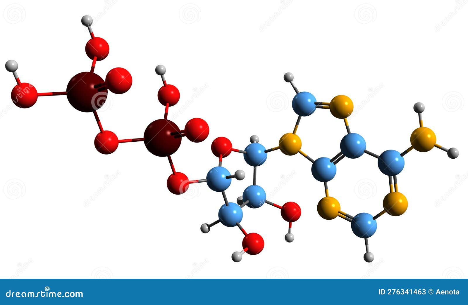 Adenosine Diphosphate (ADP) Molecule. Plays Essential Role In Energy ...