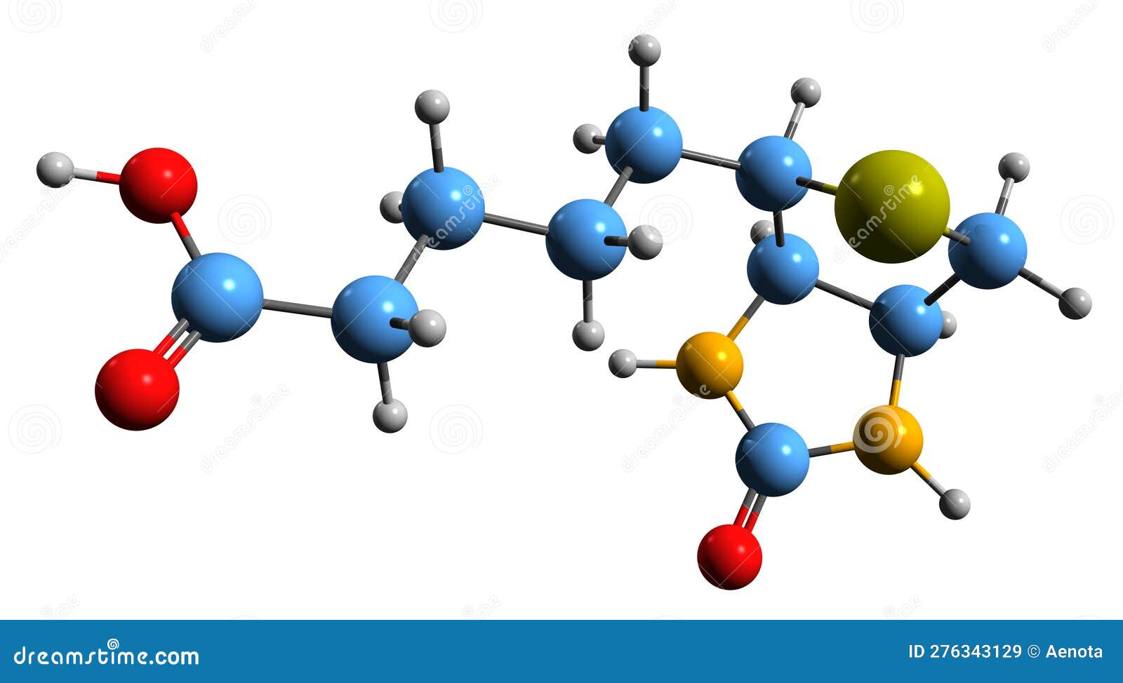 3D Image of Biotin Skeletal Formula Stock Illustration - Illustration ...