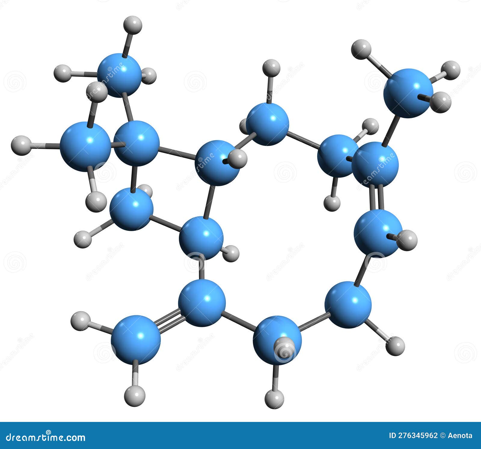 Caryophyllene Molecular Structure, 3d Model Molecule, Bicyclic ...