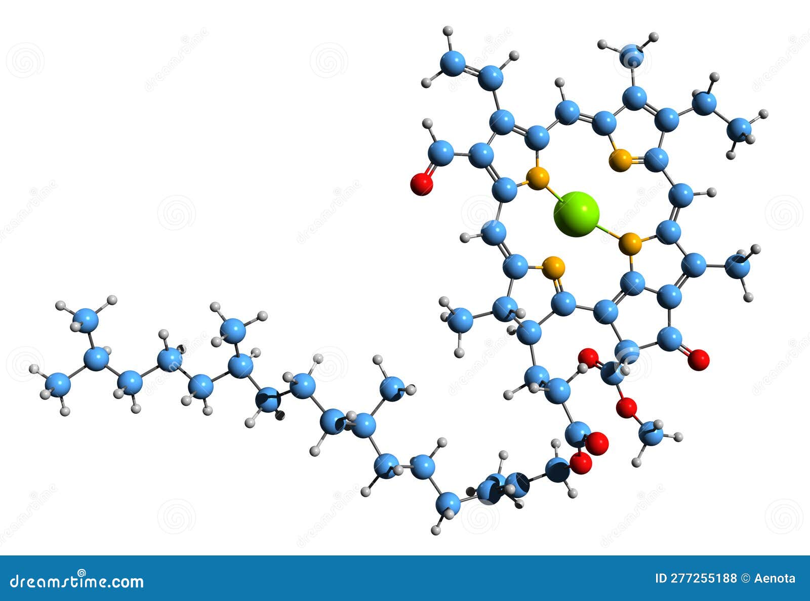 3D Image Of Chlorophyll C1 Skeletal Formula | CartoonDealer.com #276355414