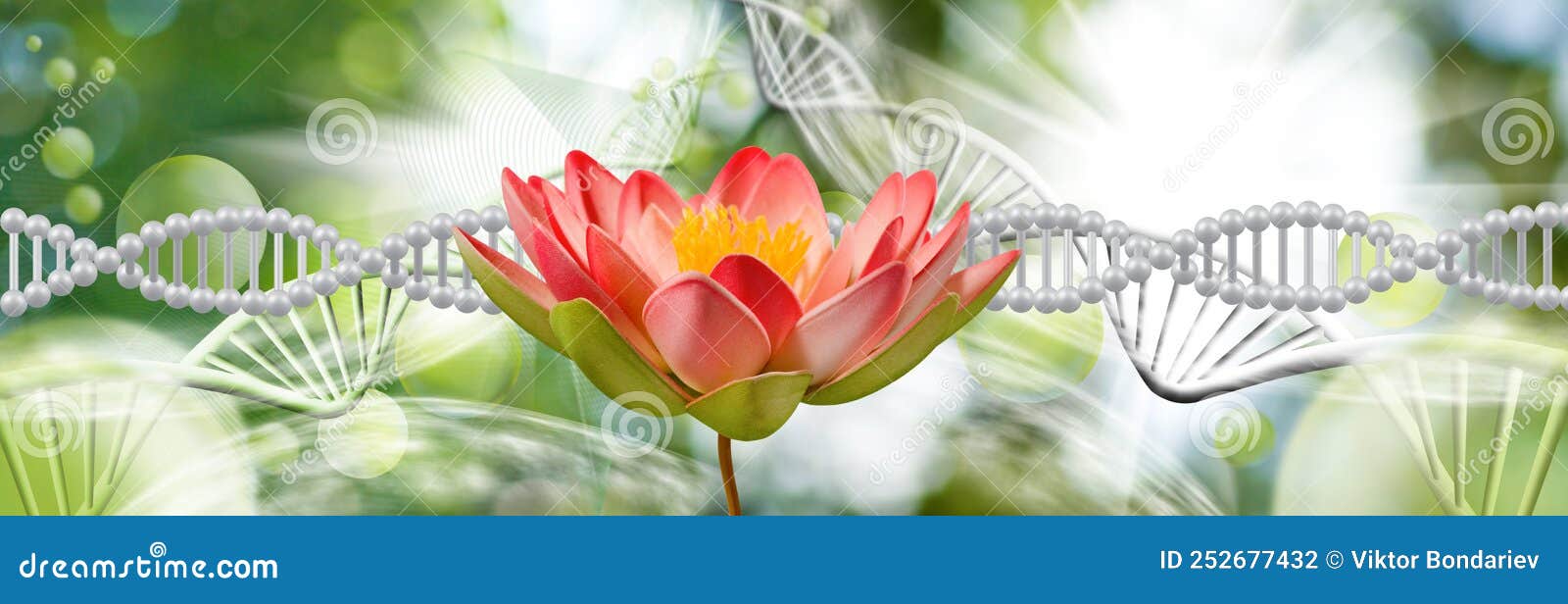 3D Image of DNA Chains and Lotus Flower Image Stock Photo - Image of ...