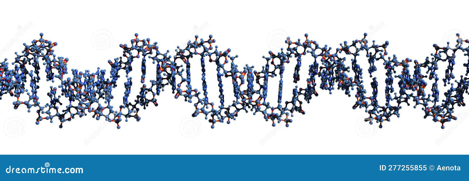 3D Image of DNA Macromolecule Skeletal Formula Stock Illustration ...