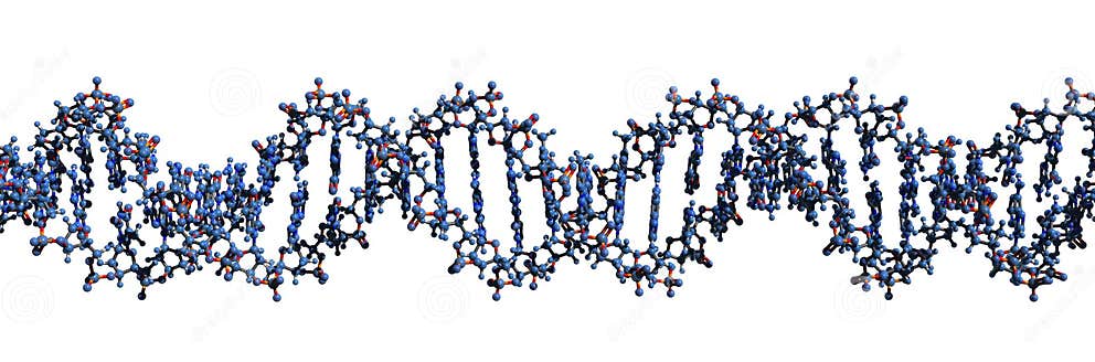 3D Image of DNA Macromolecule Skeletal Formula Stock Illustration ...