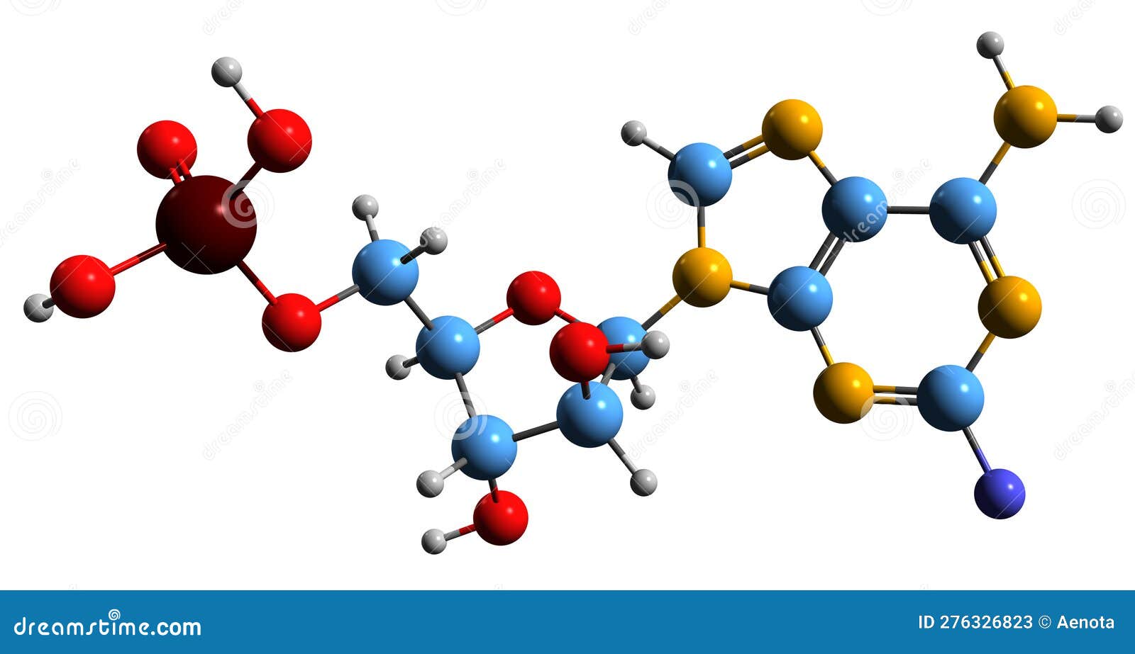 Induced Myeloid Leukemia Cell Differentiation Protein Mcl-1 (green ...