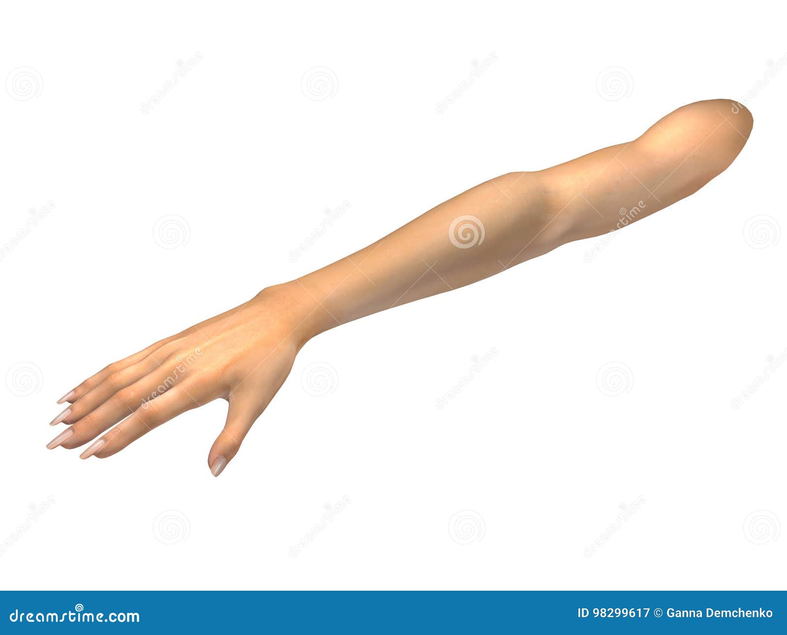 3D Image of Human Arm on White Stock Illustration - Illustration of ...