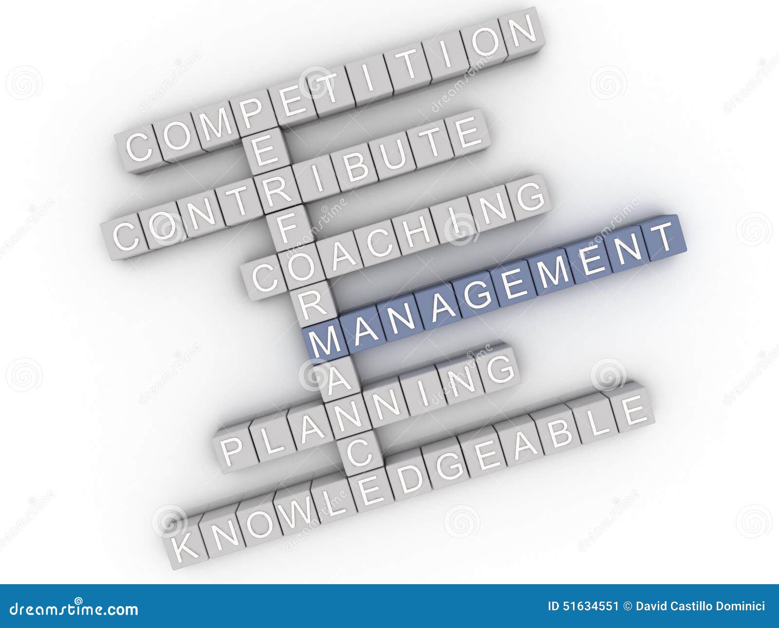 3d Image Management Issues Concept Word Cloud Background Stock ...
