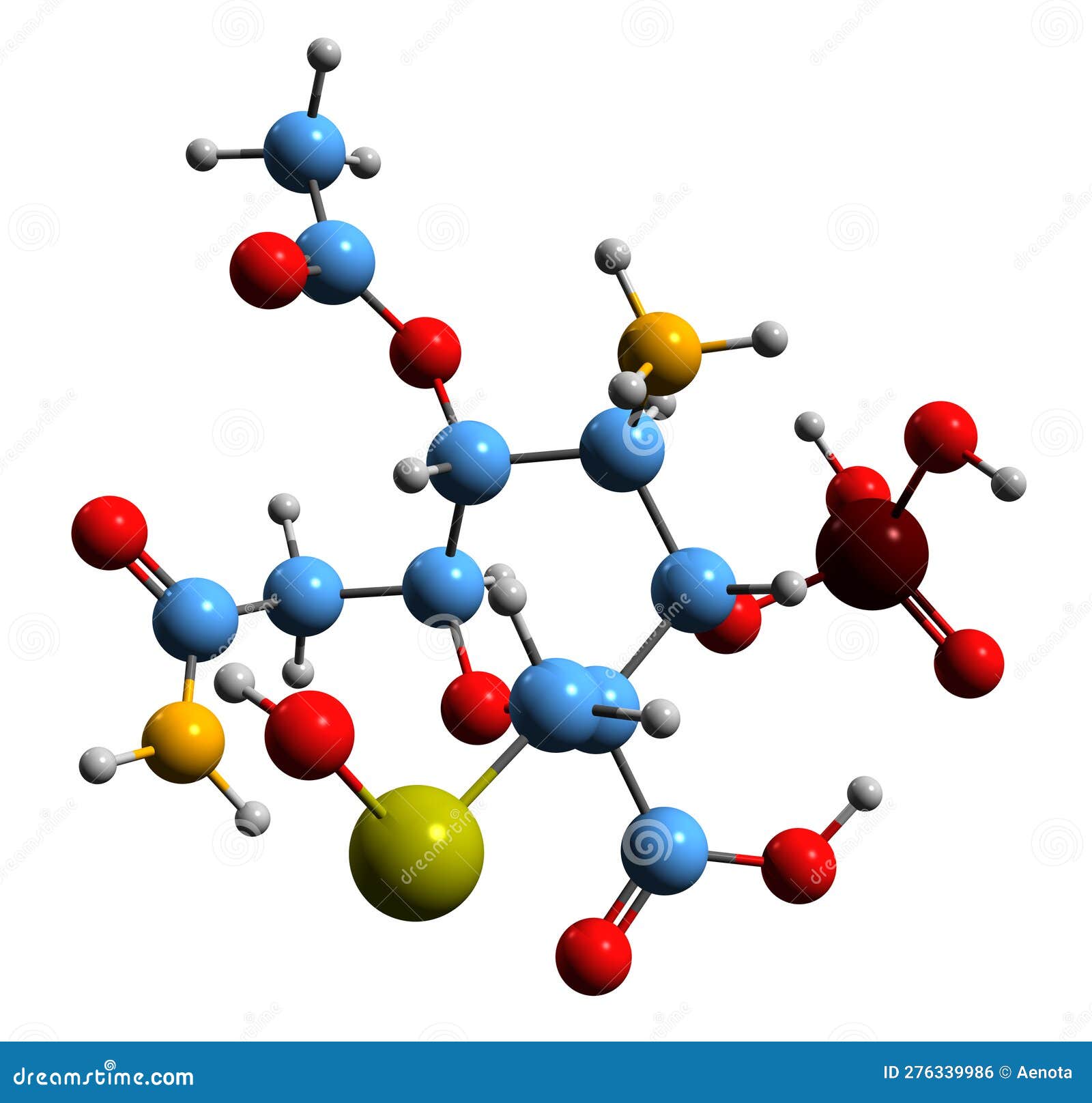 Structure Of Bacterial Cellulose Synthase With Cyclic-di-GMP Bound ...