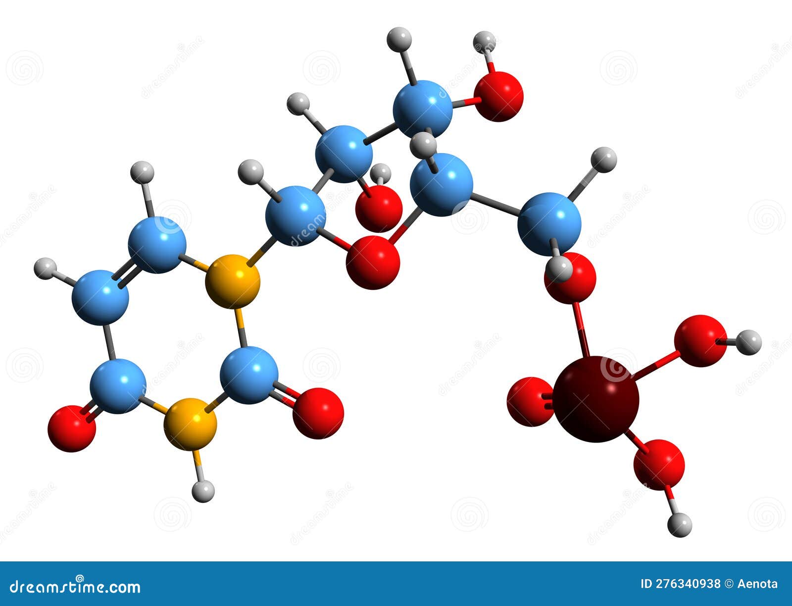 3D Image of Uridine Monophosphate Skeletal Formula Stock Illustration ...