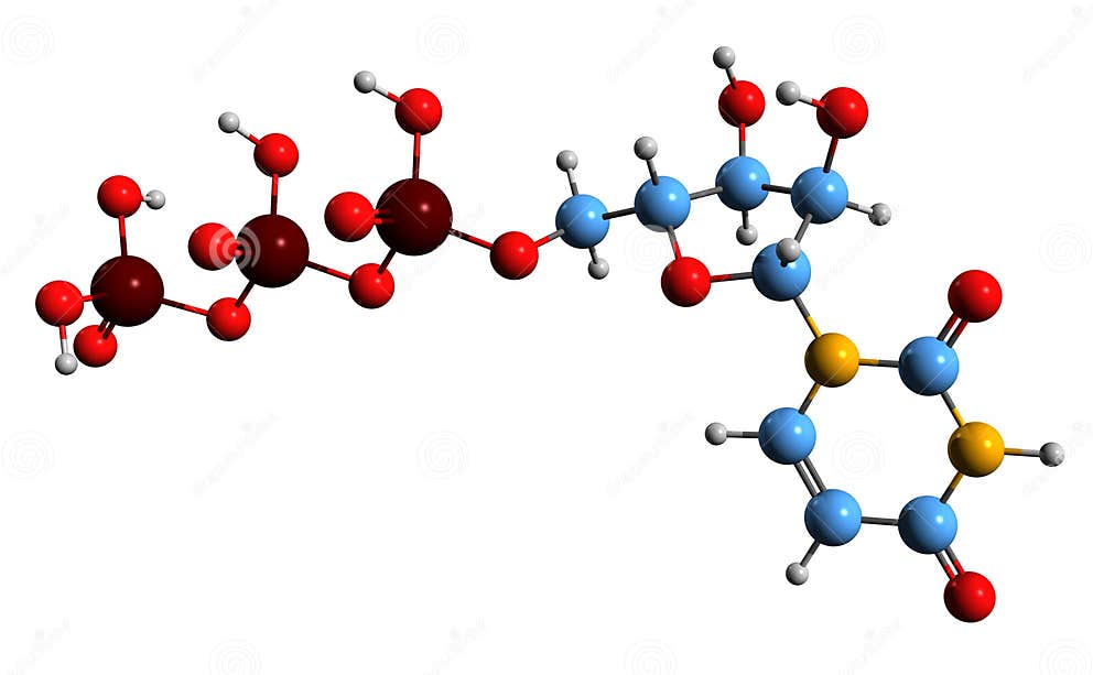 3D Image of Uridine Triphosphate Skeletal Formula Stock Illustration ...