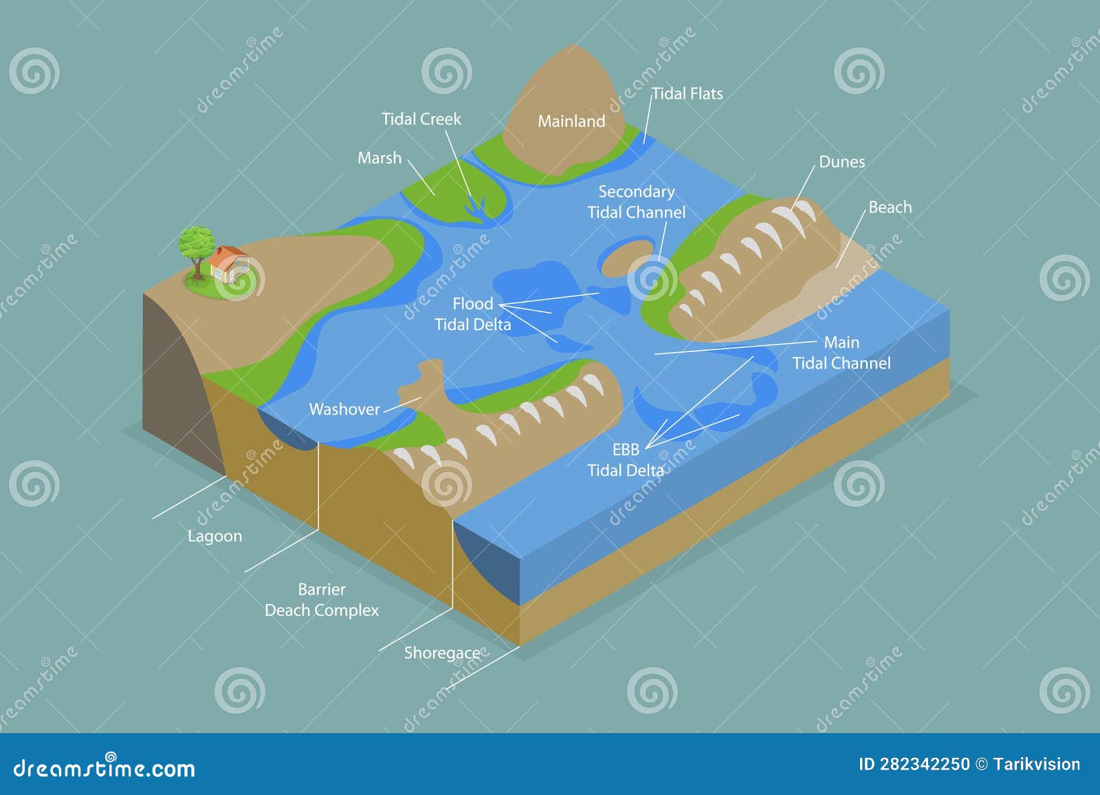 3D Isometric Flat Vector Conceptual Illustration of Barrier Island ...