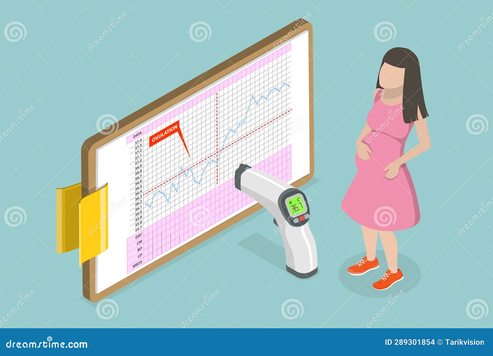 3D Isometric Flat Vector Conceptual Illustration of BBT Chart Stock ...