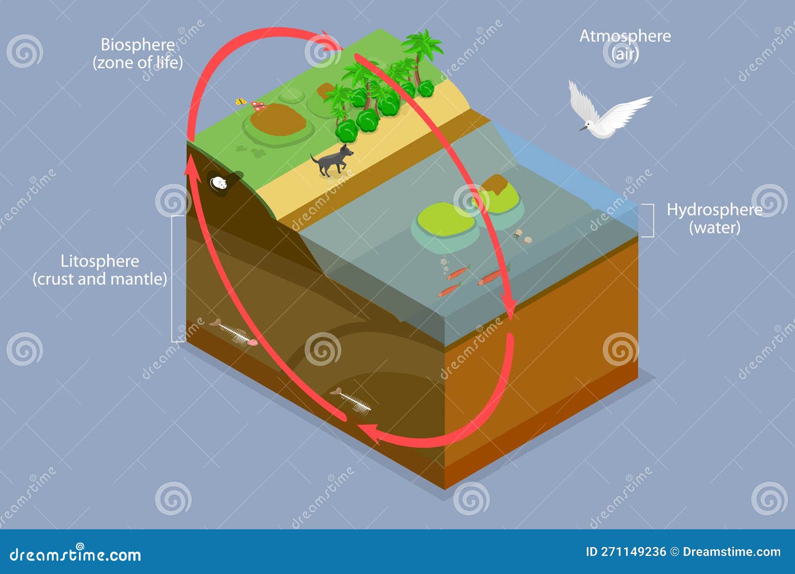 Biosphere Division With Labeled Ecosystem Explanation Scheme Outline ... Biosphere Division With Labeled Ecosystem Explanation Scheme Outline ...