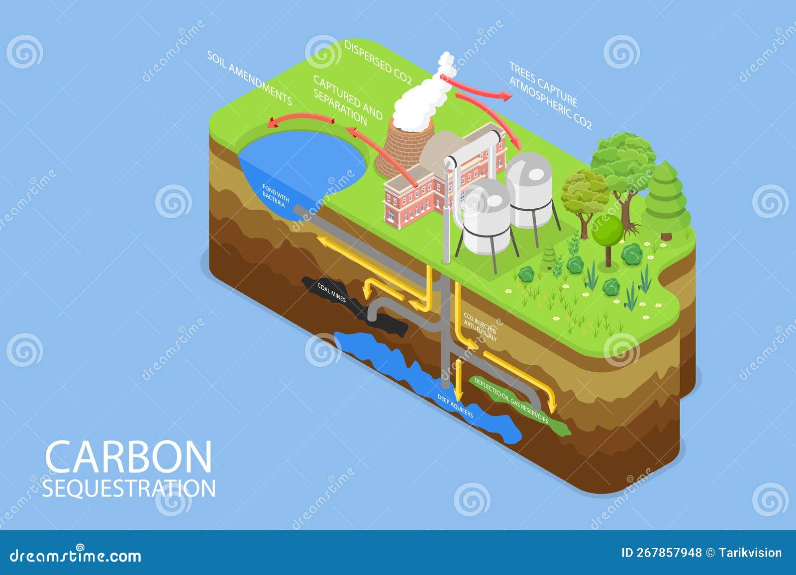 3D Isometric Flat Vector Conceptual Illustration of Carbon ...