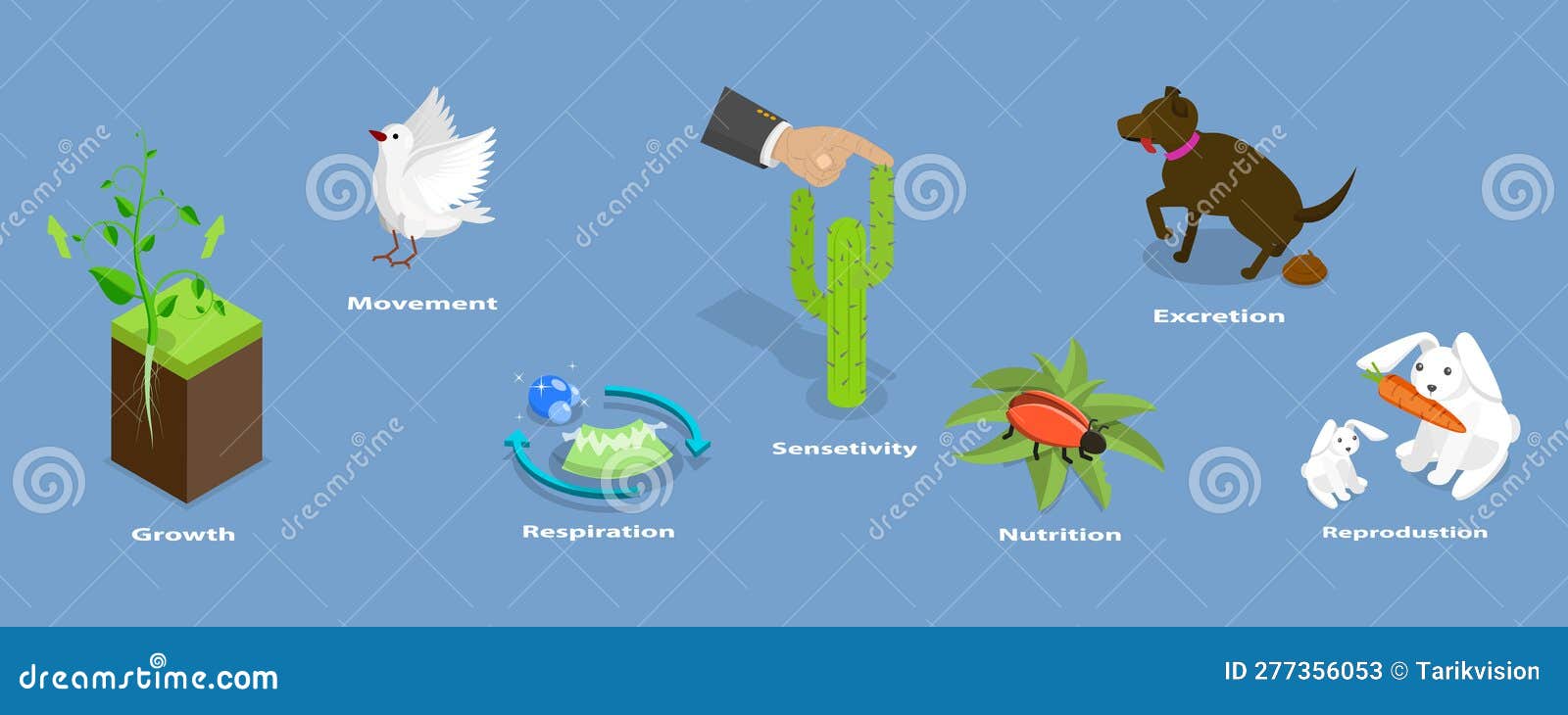 3D Isometric Flat Vector Conceptual Illustration of Characteristics of ...