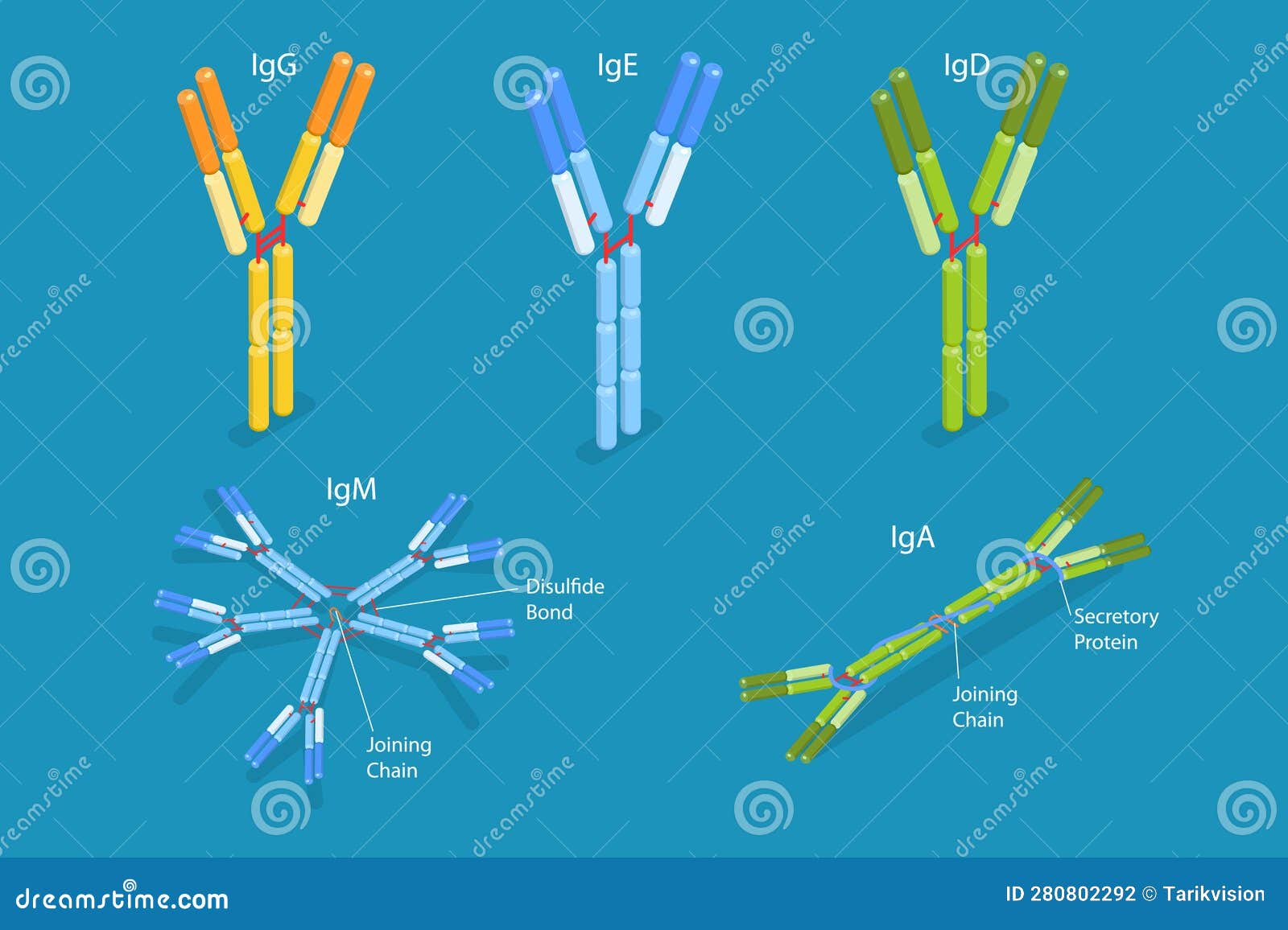 3D Isometric Flat Vector Conceptual Illustration of Different Types of ...