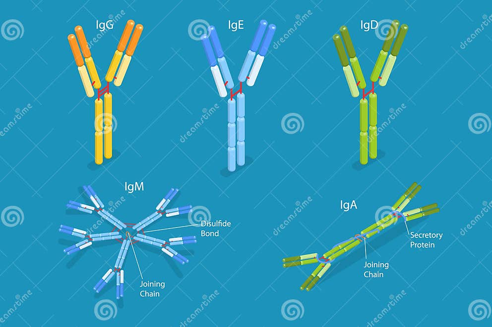 3D Isometric Flat Vector Conceptual Illustration of Different Types of ...