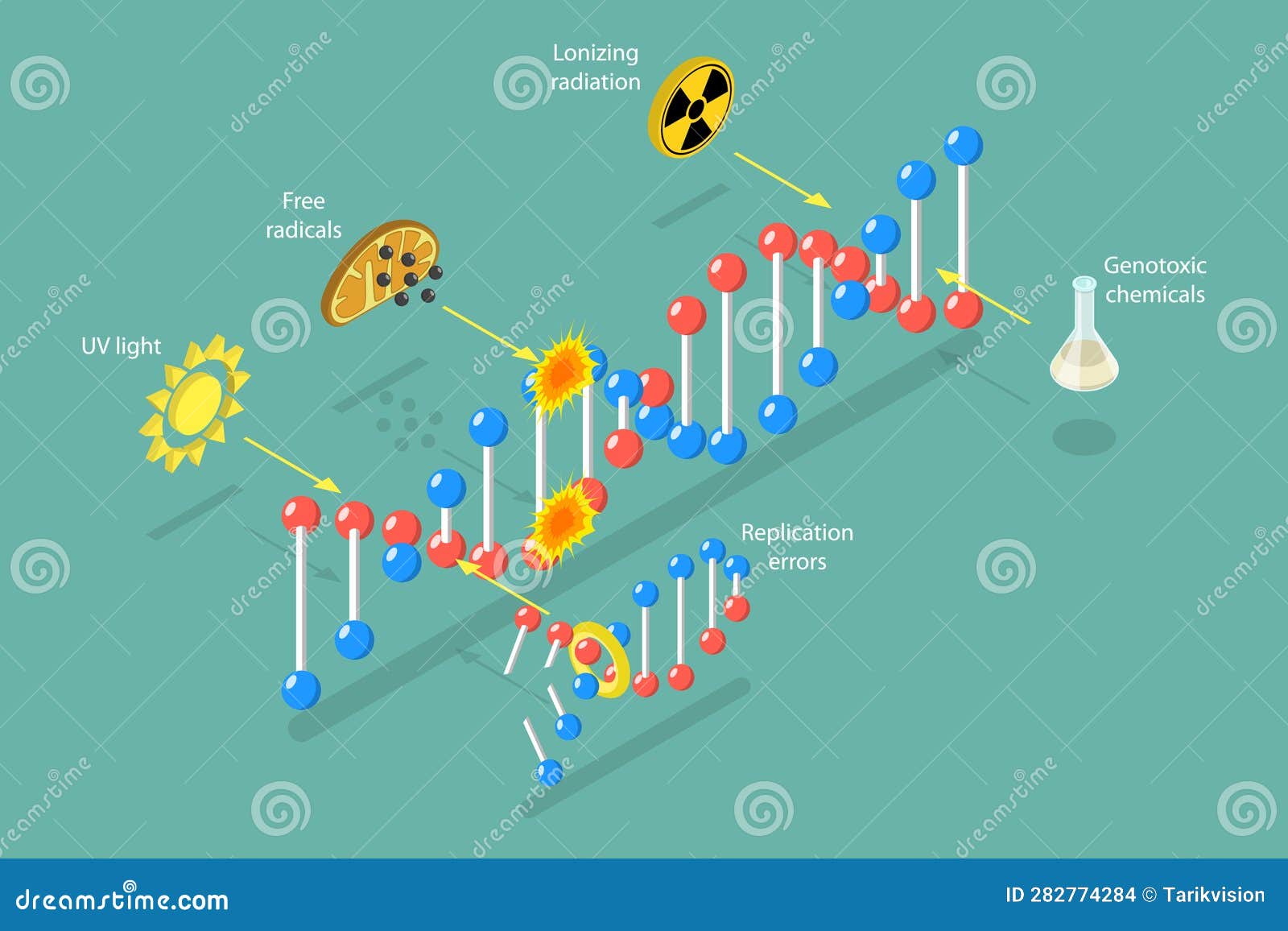 3D Isometric Flat Vector Conceptual Illustration of DNA Damage Stock ...