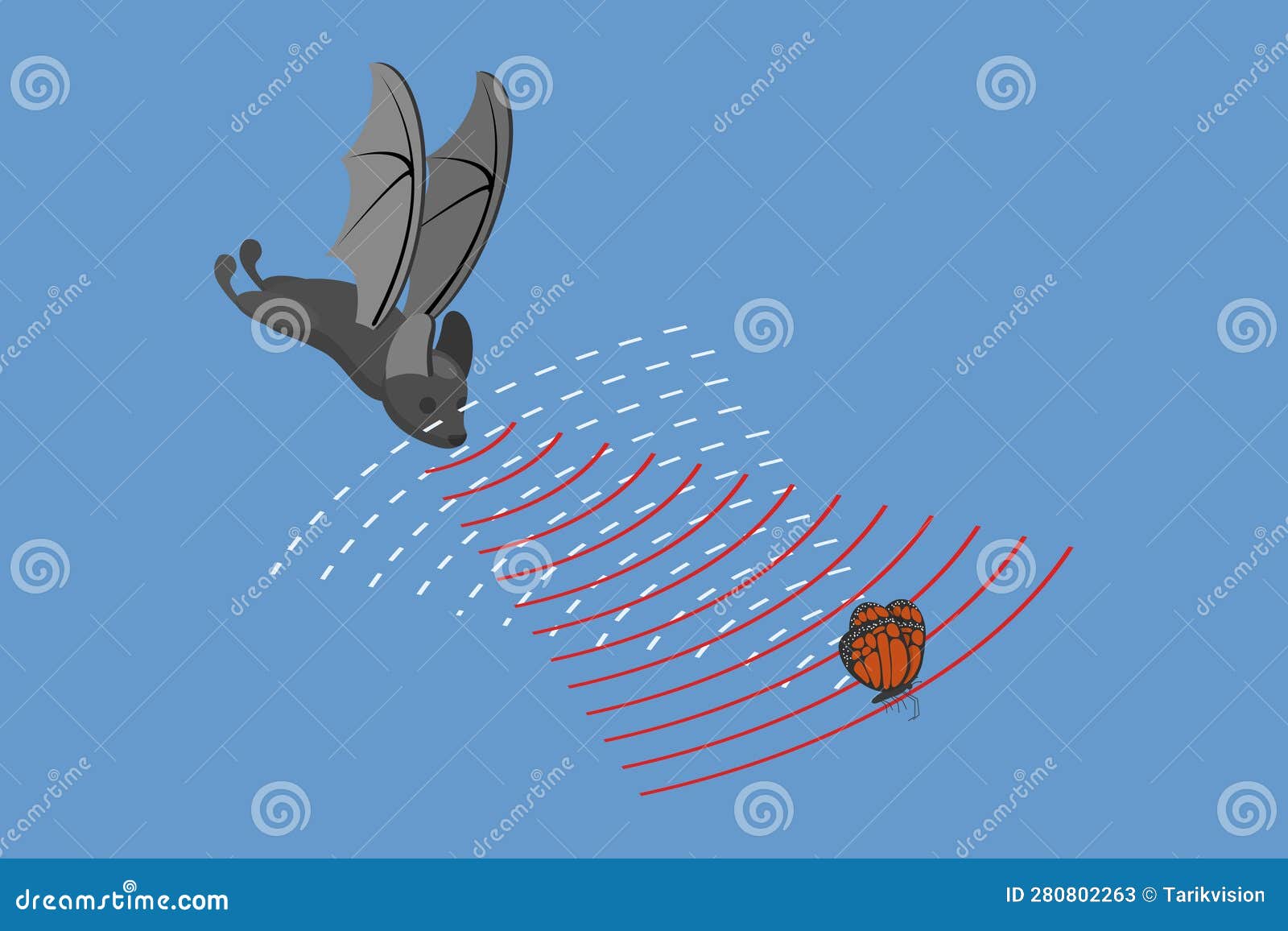 3D Isometric Flat Vector Conceptual Illustration of Echolocation Stock ...