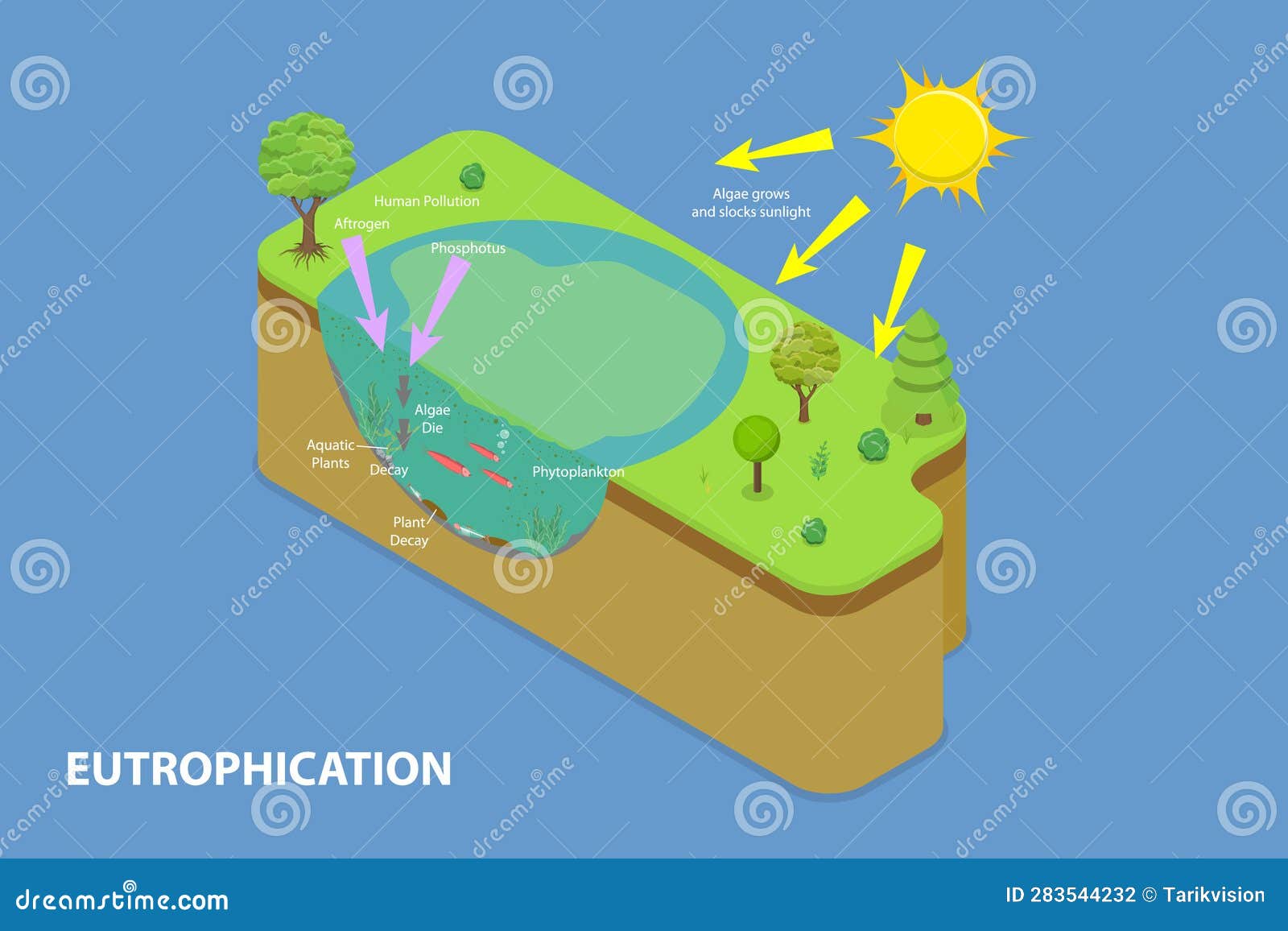 3D Isometric Flat Vector Conceptual Illustration of Eutrophication ...