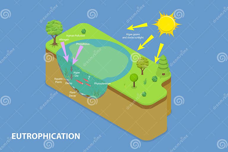 3D Isometric Flat Vector Conceptual Illustration of Eutrophication ...