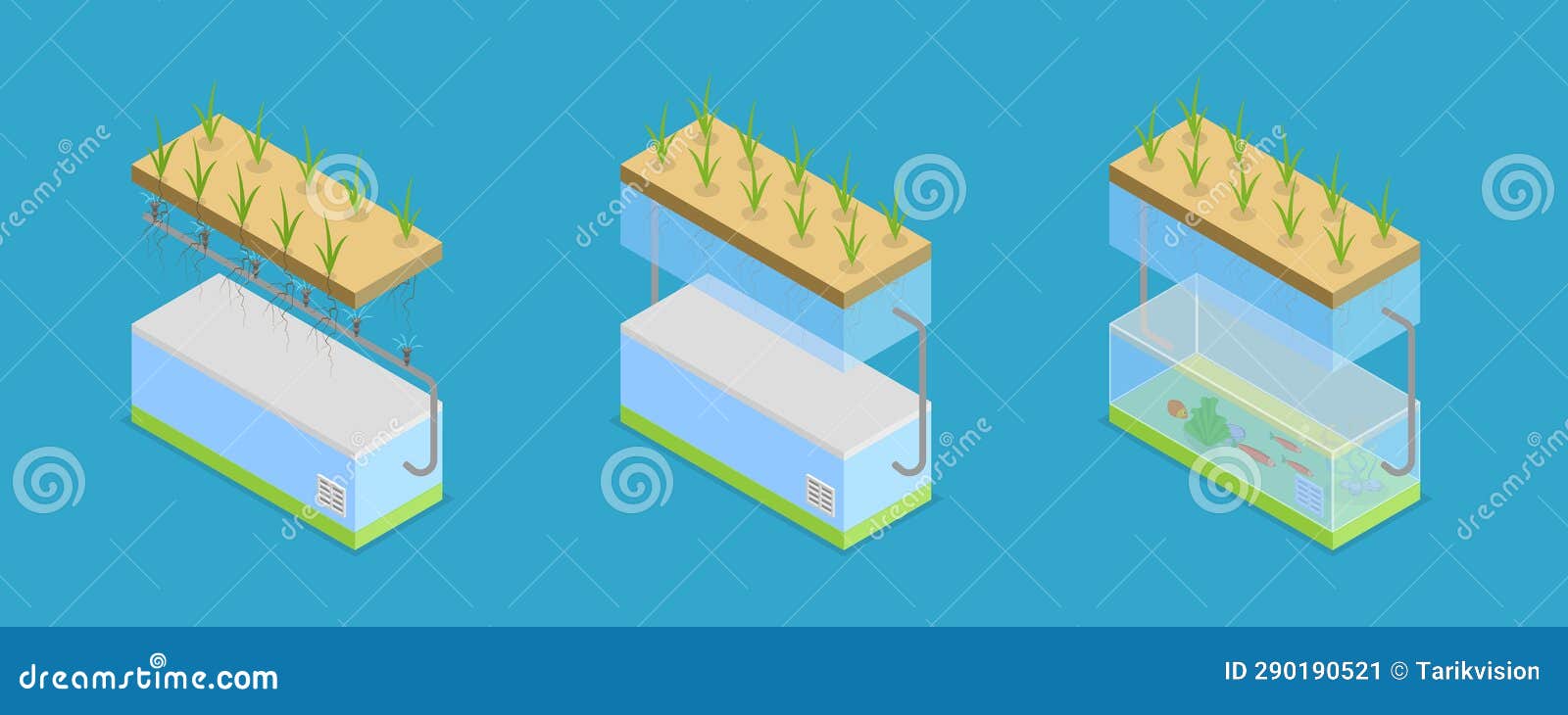 3D Isometric Flat Vector Conceptual Illustration of Growing Systems ...