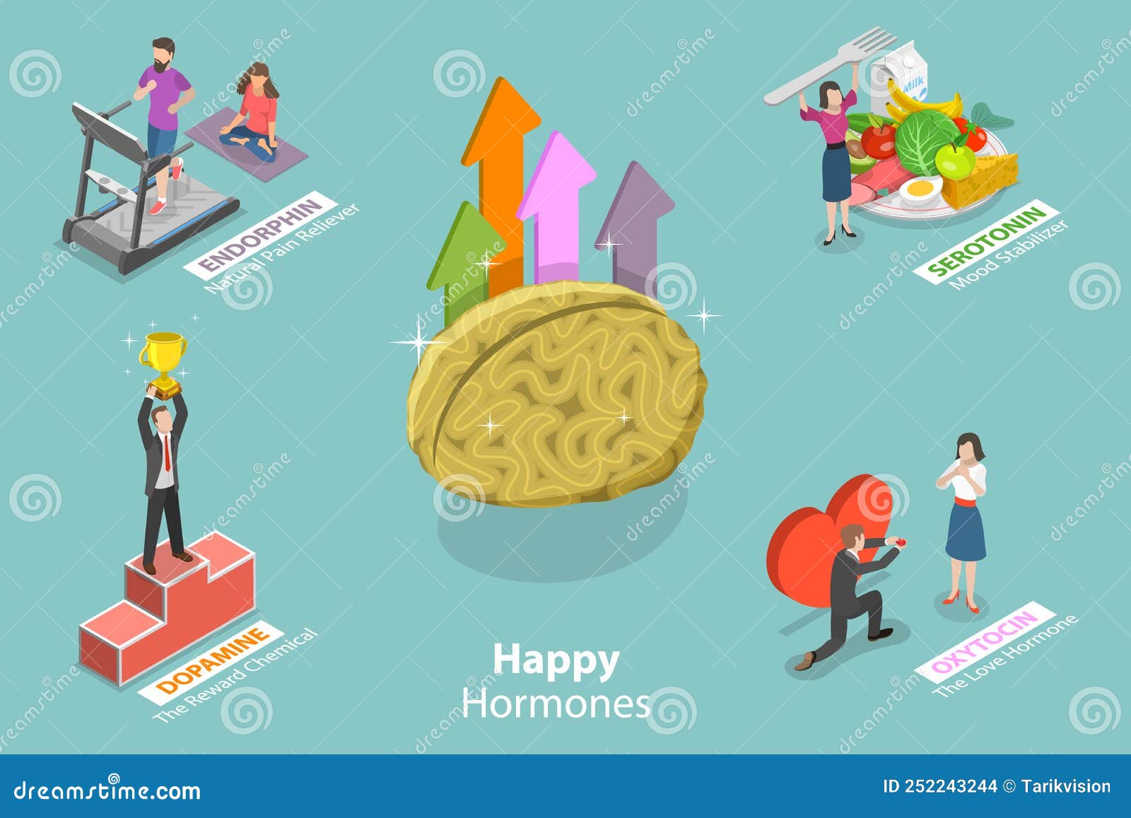 3D Isometric Flat Vector Conceptual Illustration of Happy Hormones ...