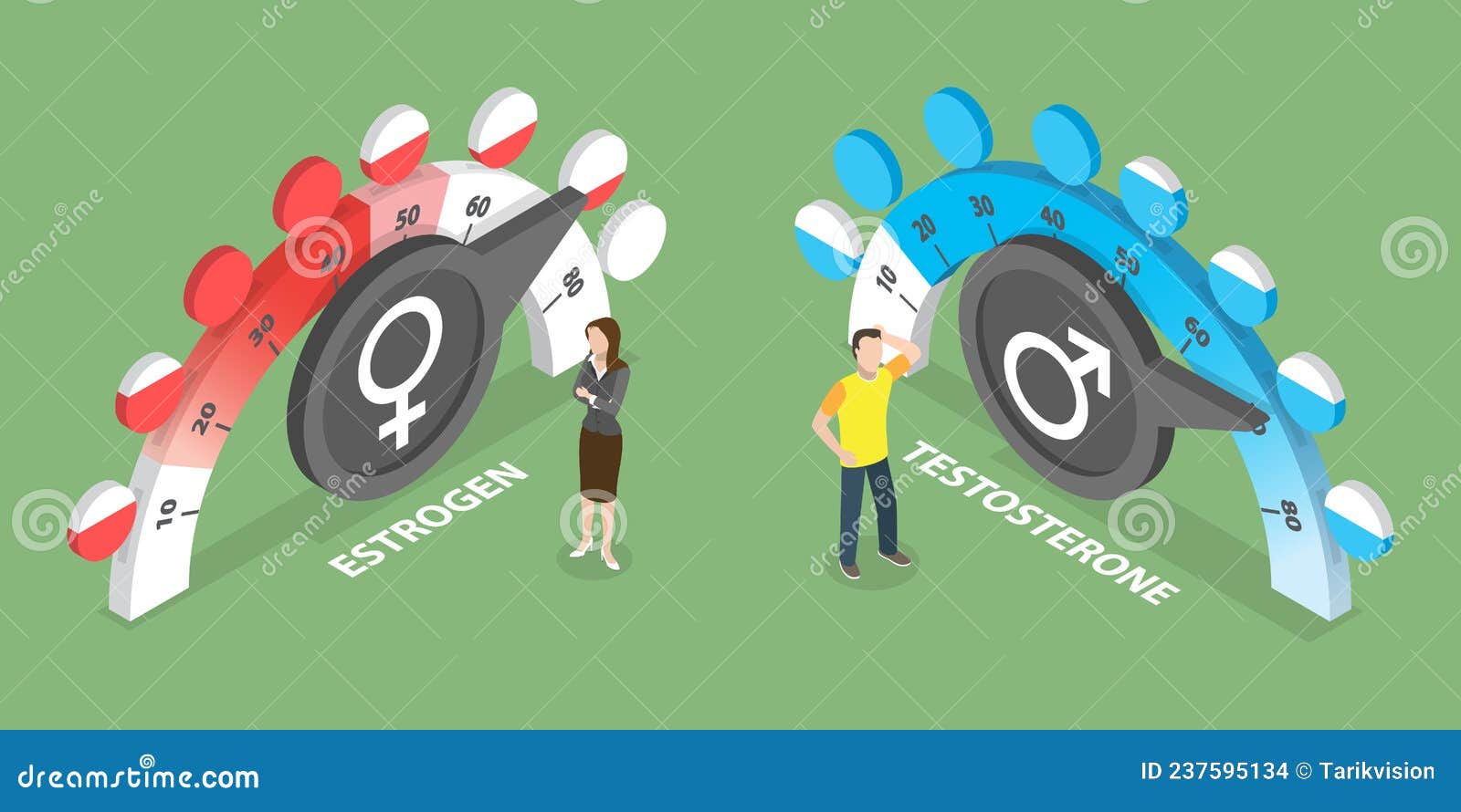3d Isometric Flat Vector Conceptual Illustration Of Hormone Level Stock