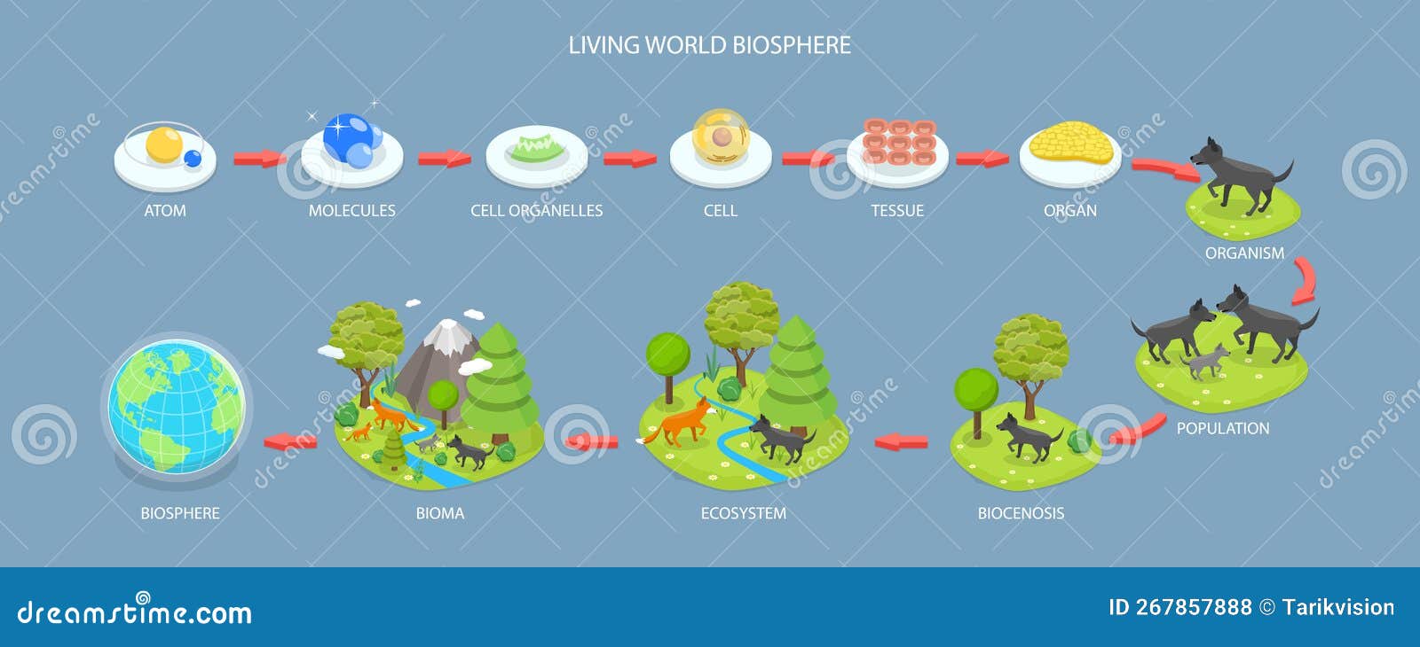 Biosphere Division With Labeled Ecosystem Explanation Scheme Outline ... Biosphere Division With Labeled Ecosystem Explanation Scheme Outline ...