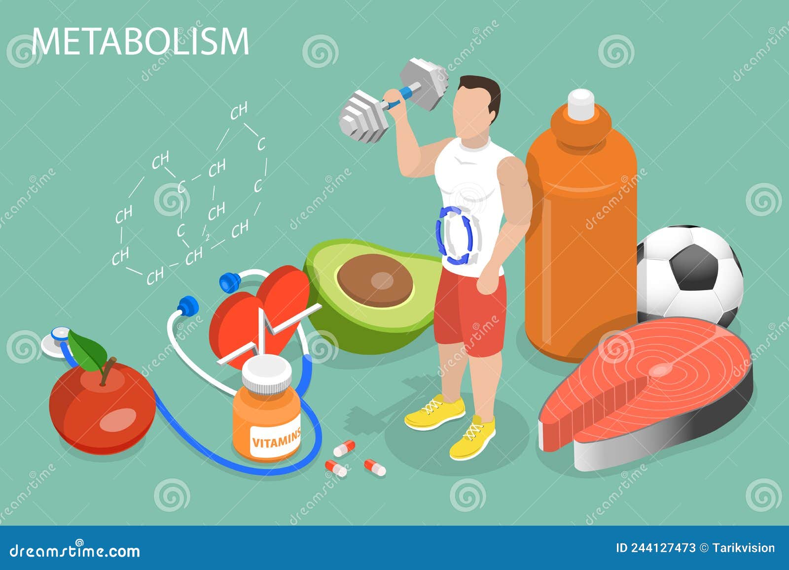 Metabolism. Explanation Diagram With Woman, Food, And Chemical ...