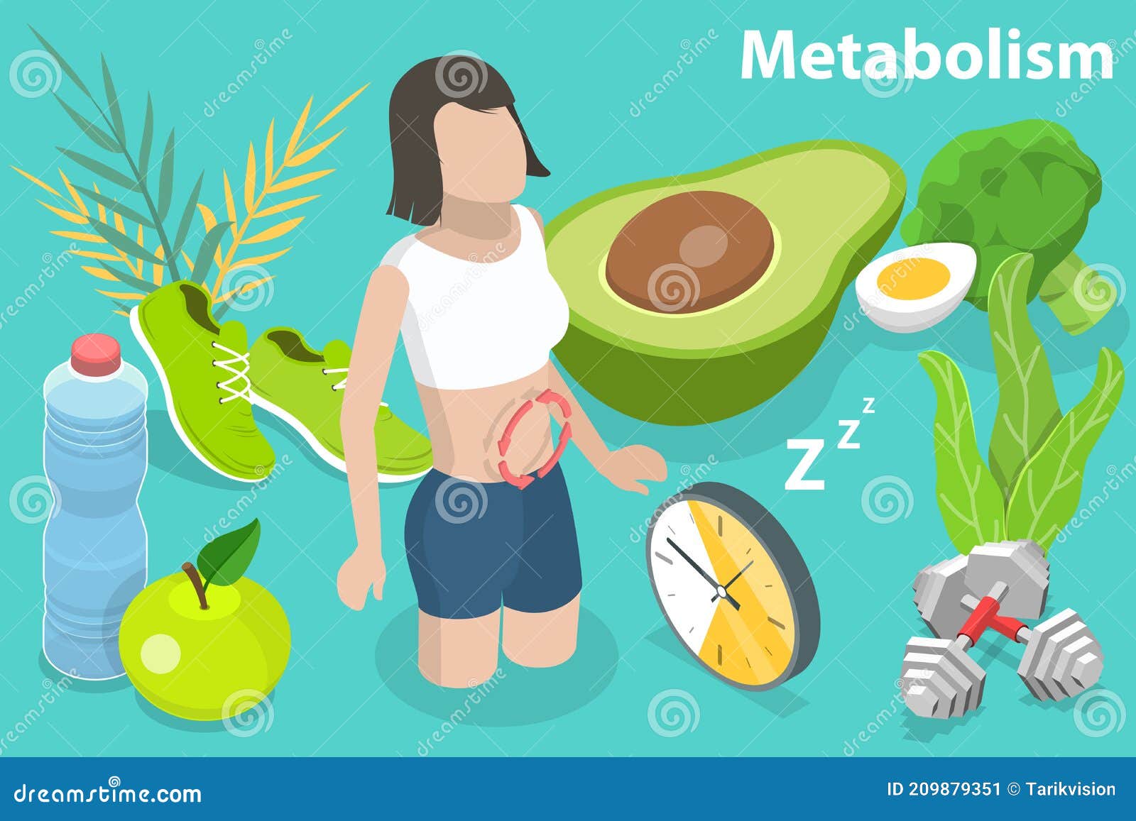 Metabolism Of Human Organism Concept. Tiny Character Move Arrow To ...