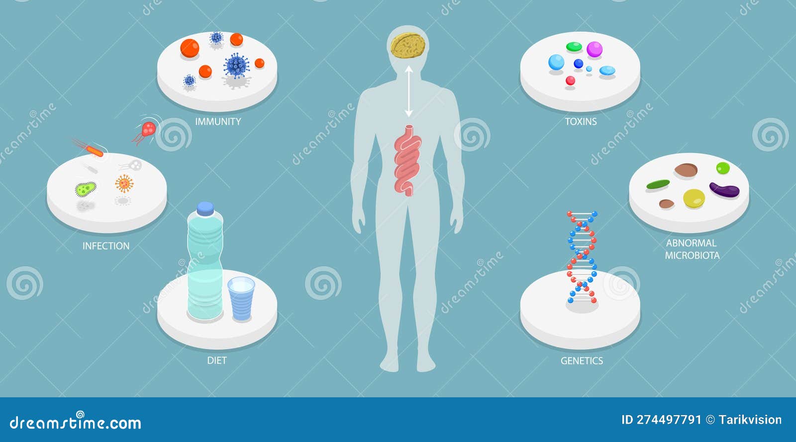 3D Isometric Flat Vector Conceptual Illustration of Microbiome Stock ...