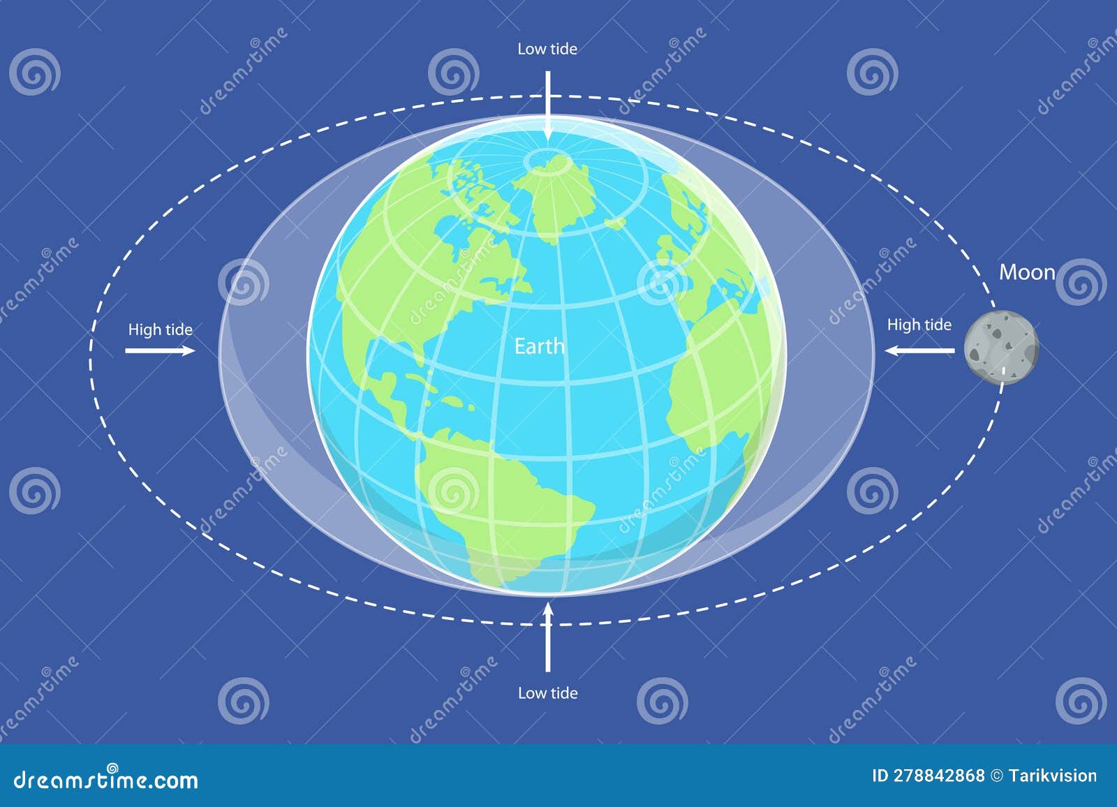 3D Isometric Flat Vector Conceptual Illustration of Moon Causes Tides ...
