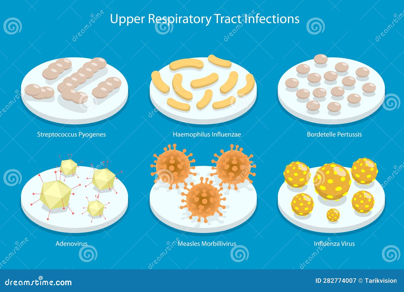 3D Isometric Flat Vector Conceptual Illustration of Upper Respiratory ...