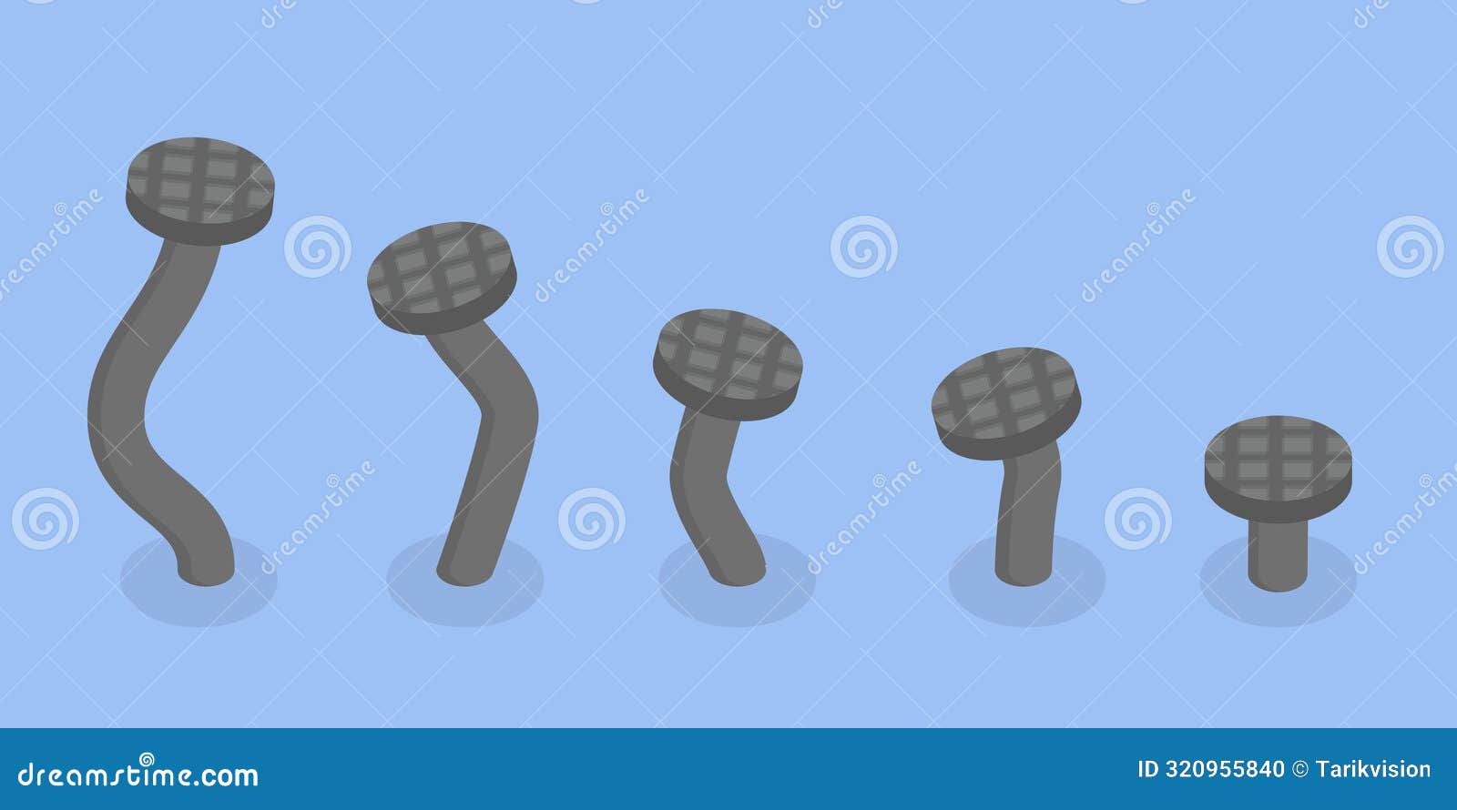 3D Isometric Flat Vector Illustration of from Beginner To Skilled ...