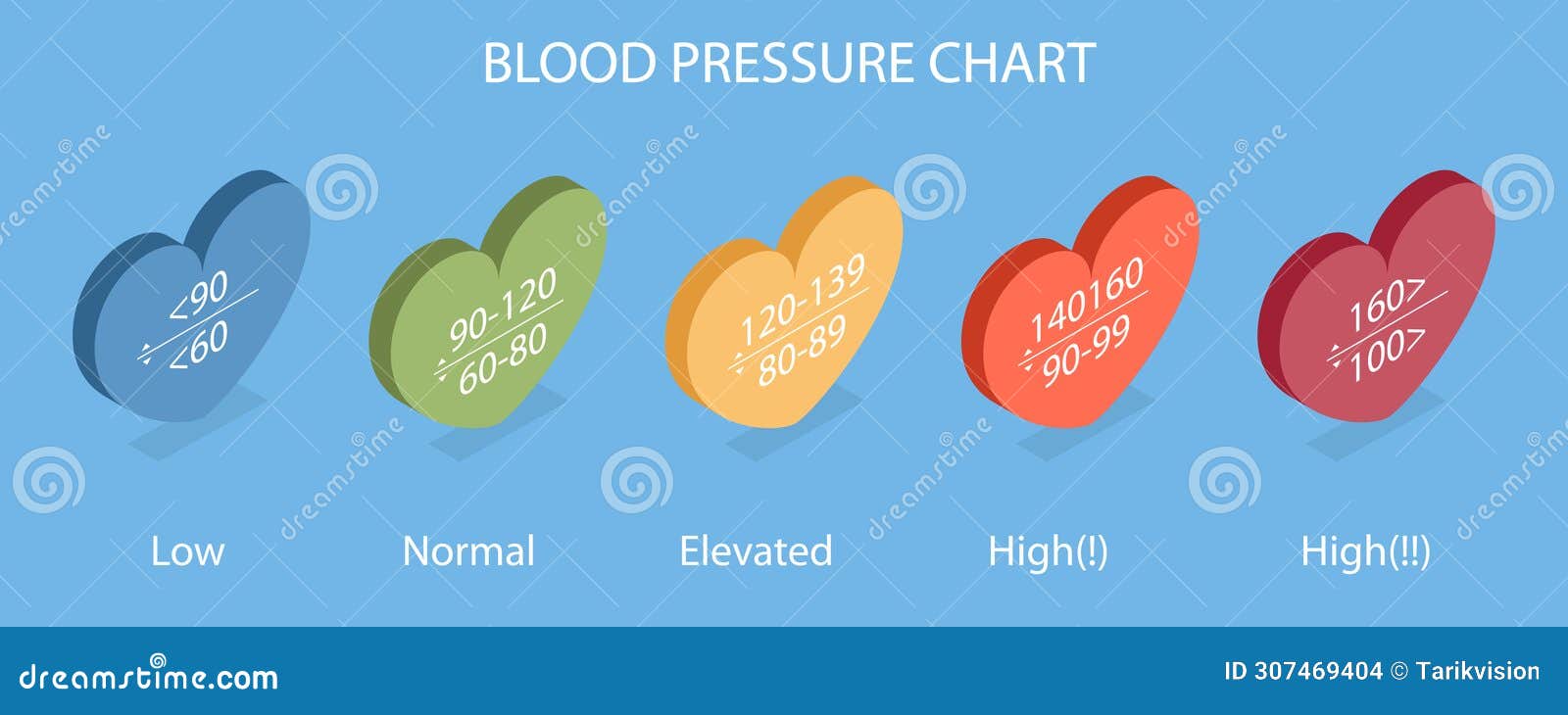 3D Isometric Flat Vector Illustration of Blood Pressure Chart Stock ...