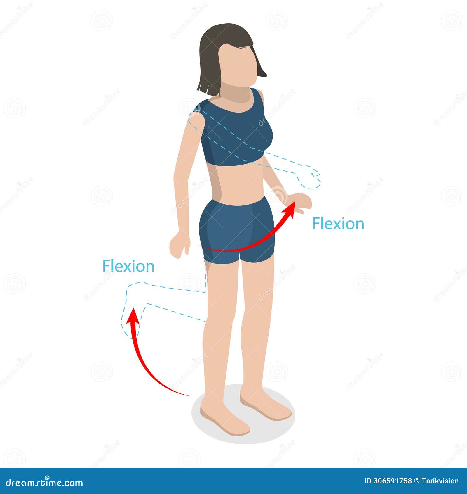 3D Isometric Flat Vector Illustration of Flexion and Extension. Item 2 ...