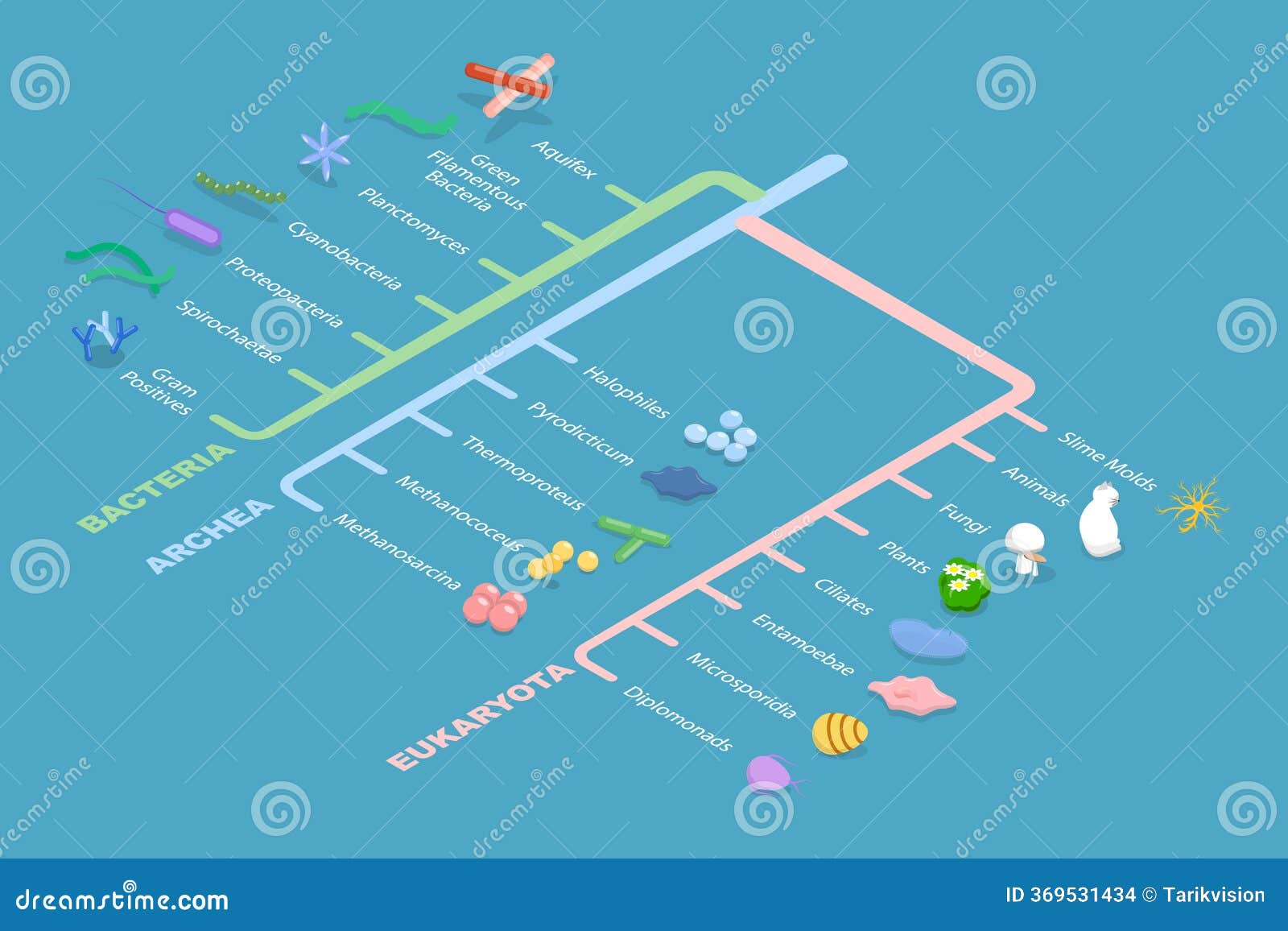 Classification Of Vertebrates Animals. Mammals, Birds, Reptiles ...