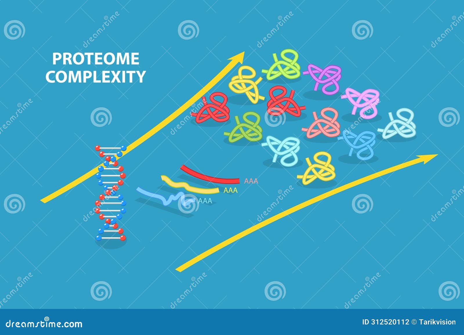 Transcriptome Cartoons, Illustrations & Vector Stock Images - 12 ...