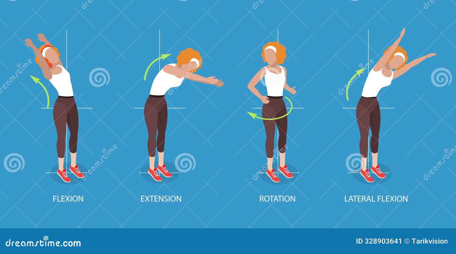 3D Isometric Flat Vector Illustration of Spine Movements Stock Vector ...